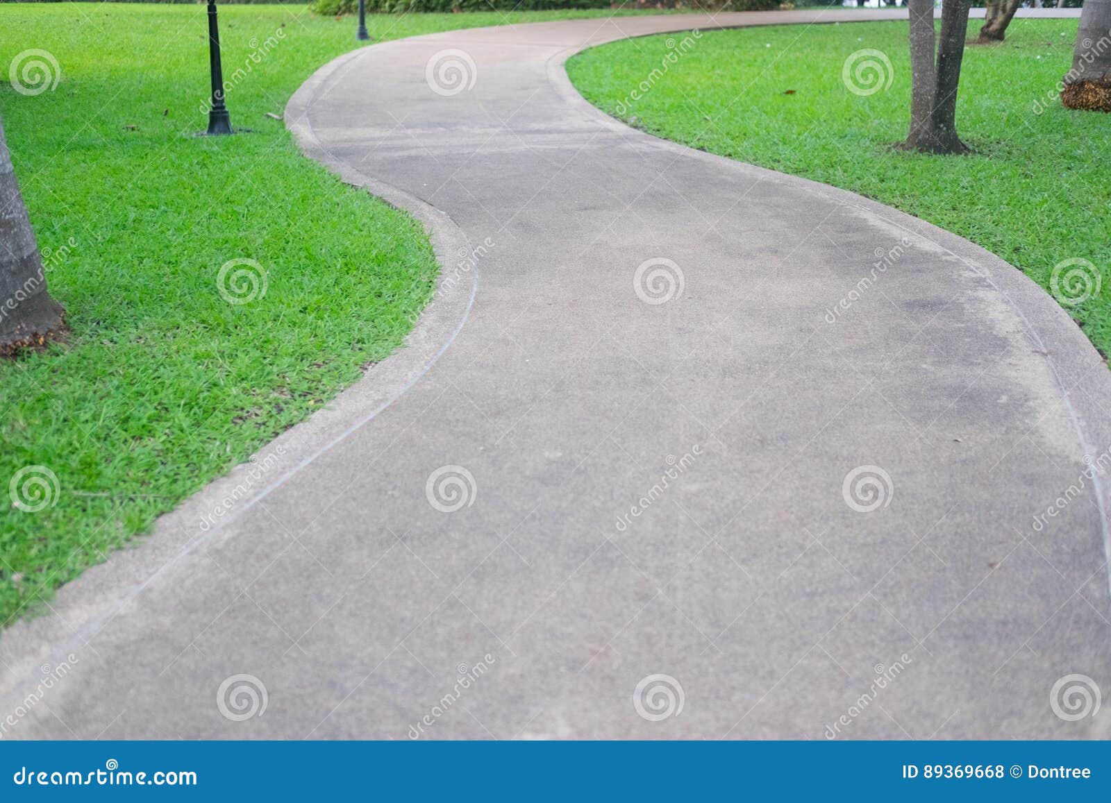 Pathways with green lawns stock photo. Image of route - 89369668
