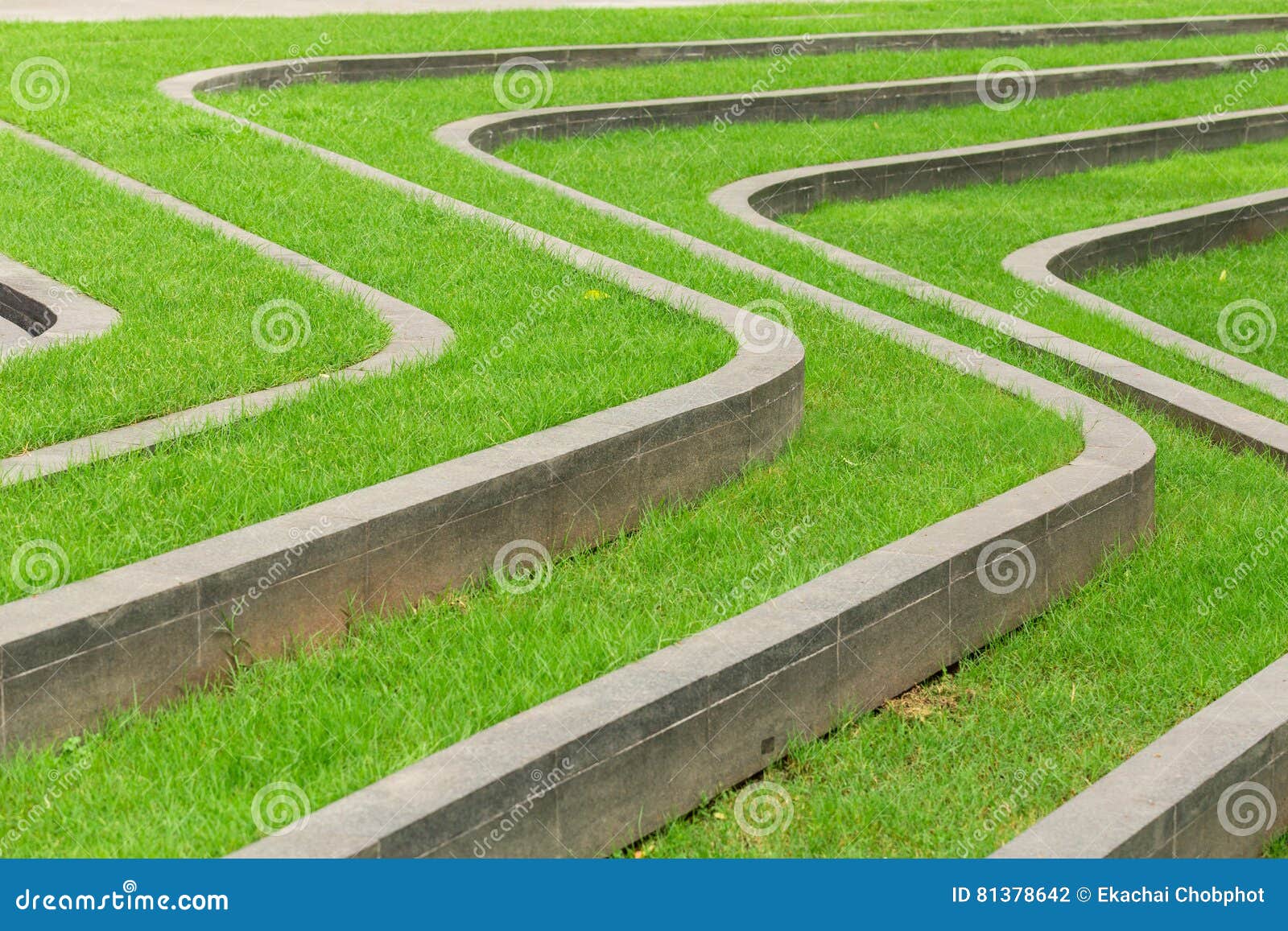Pathways With Green Lawns, In The Garden. Top View Of Curve Walkway On ...