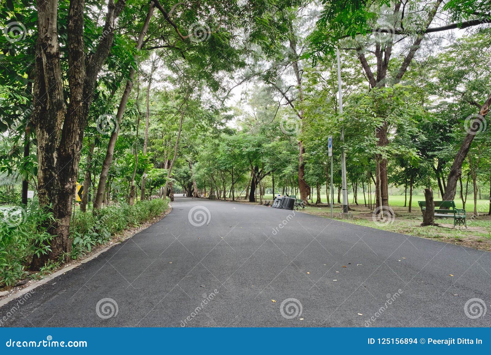 Pathways with Green Trees, Landscaping in the Garden Stock Photo ...