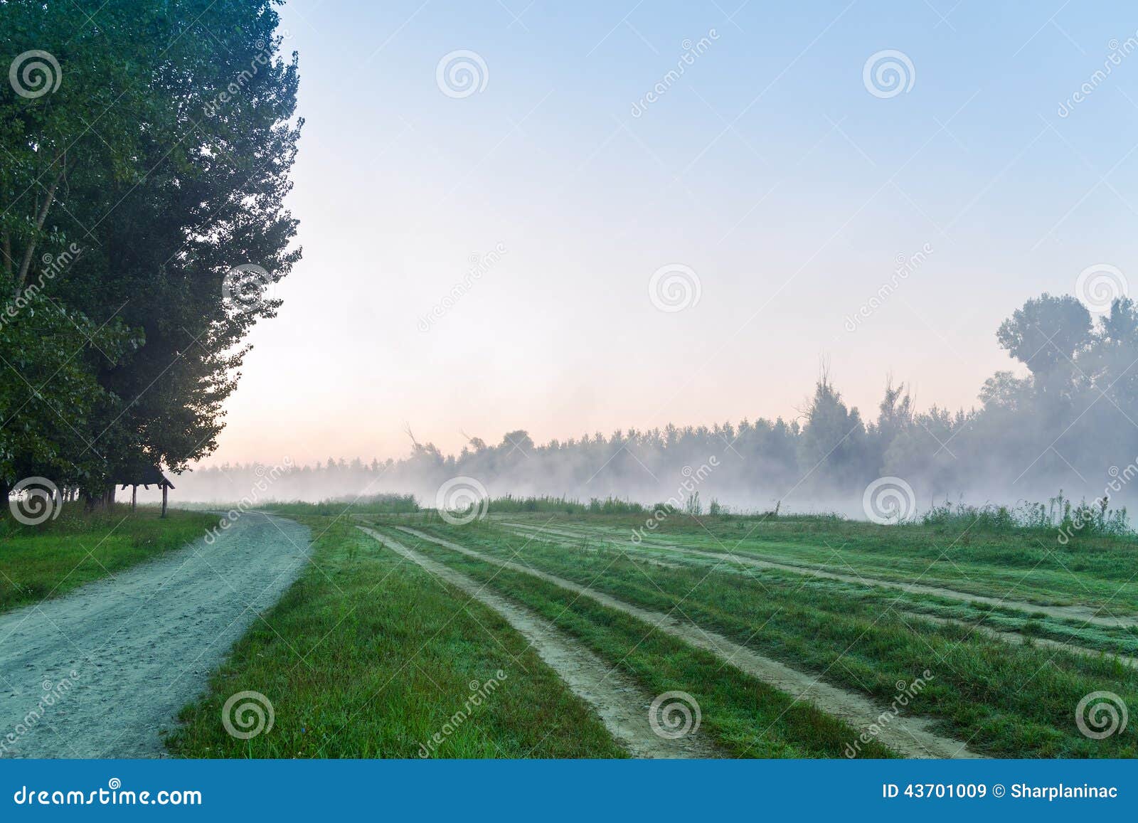 Pathways by the lake stock image. Image of foggy, reed - 43701009