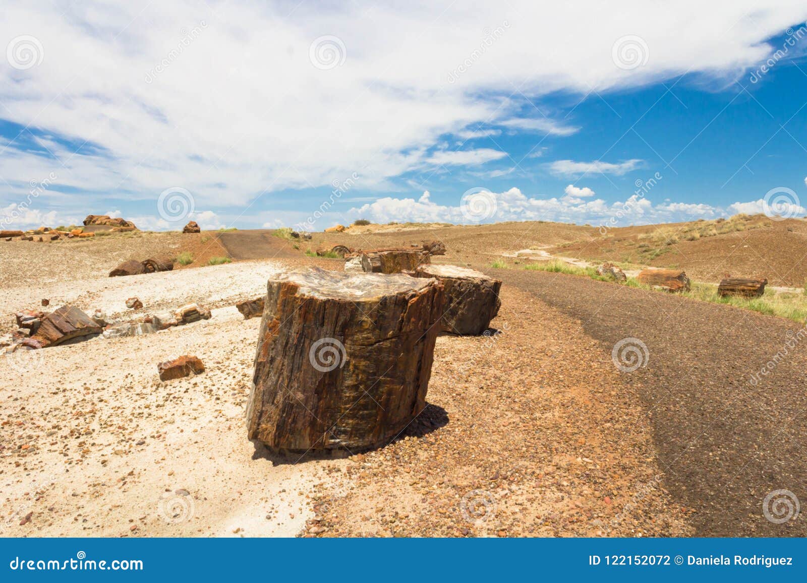 Pathways and Logs into the Desert Stock Photo - Image of tourism ...