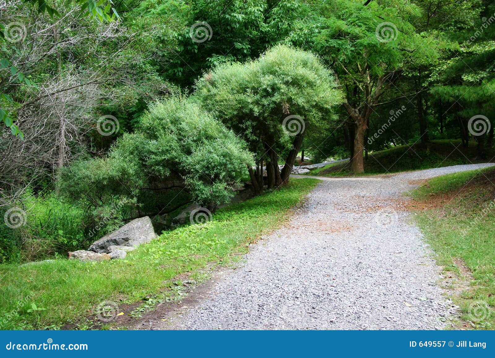 Pathways in the Park stock image. Image of relax, park - 649557