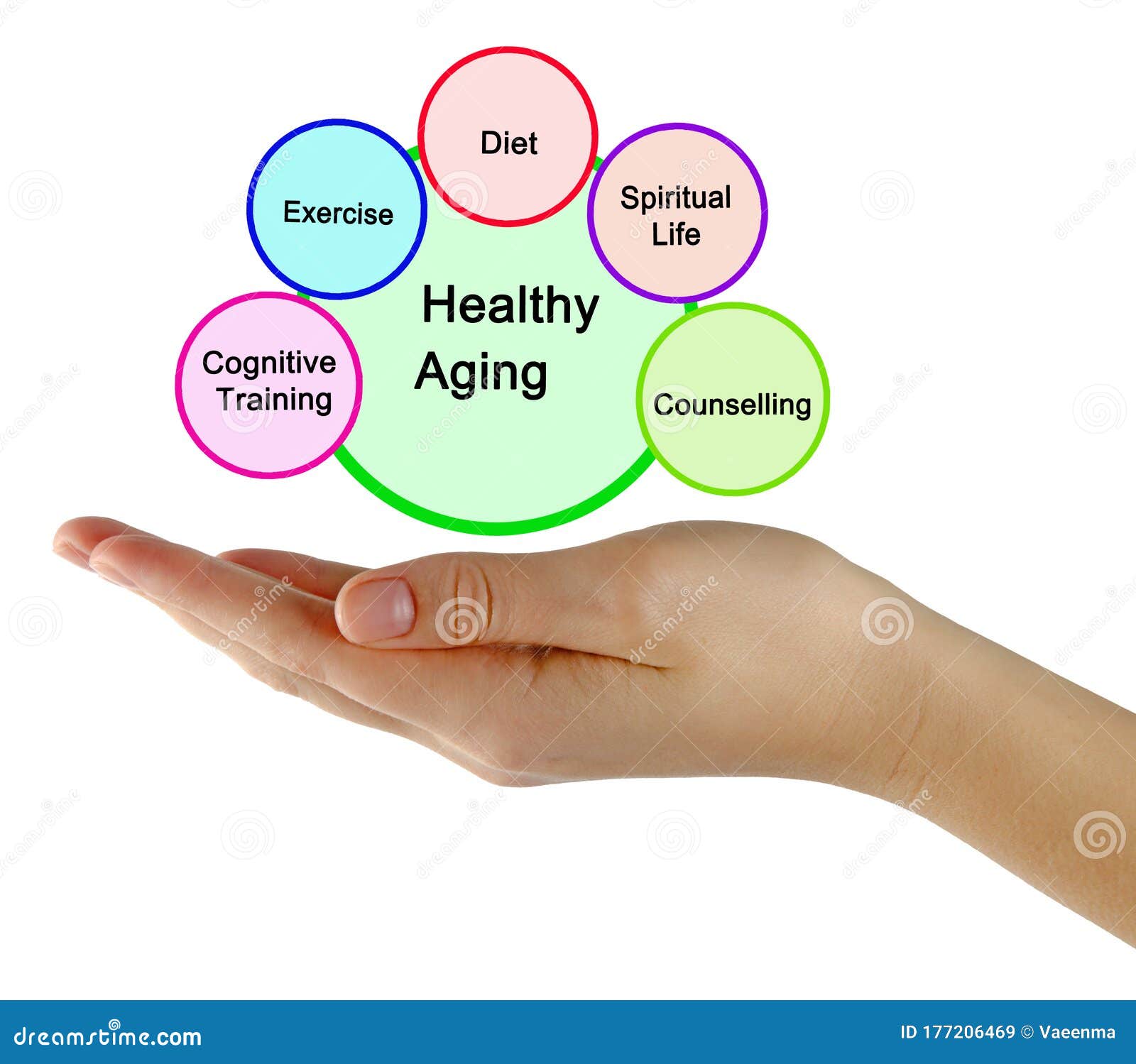 272 Life Pathways Stock Photos - Free & Royalty-Free Stock Photos from ...