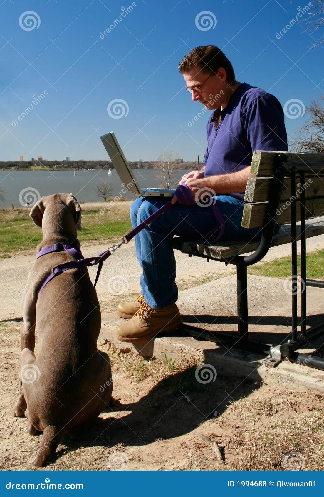 Beckon Dog Stock Photos - Free & Royalty-Free Stock Photos from Dreamstime