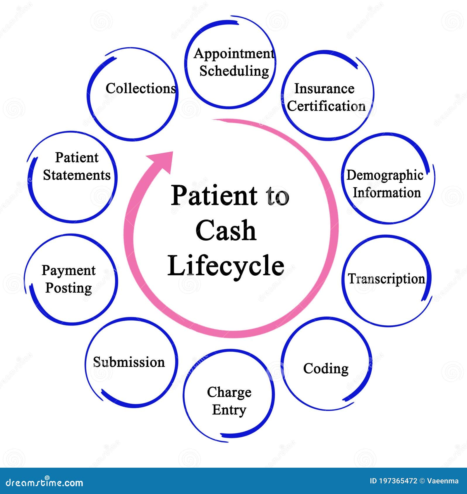 Components Of Cash Management Royalty-Free Stock Photography ...