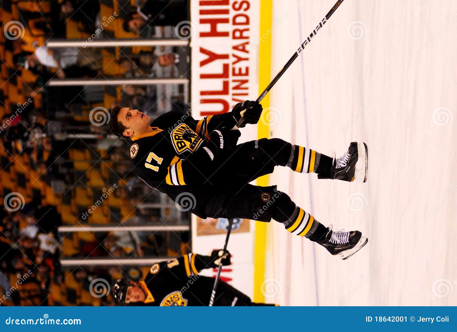Patim Do Pre-jogo Em Boston Foto Editorial - Imagem de patim ...