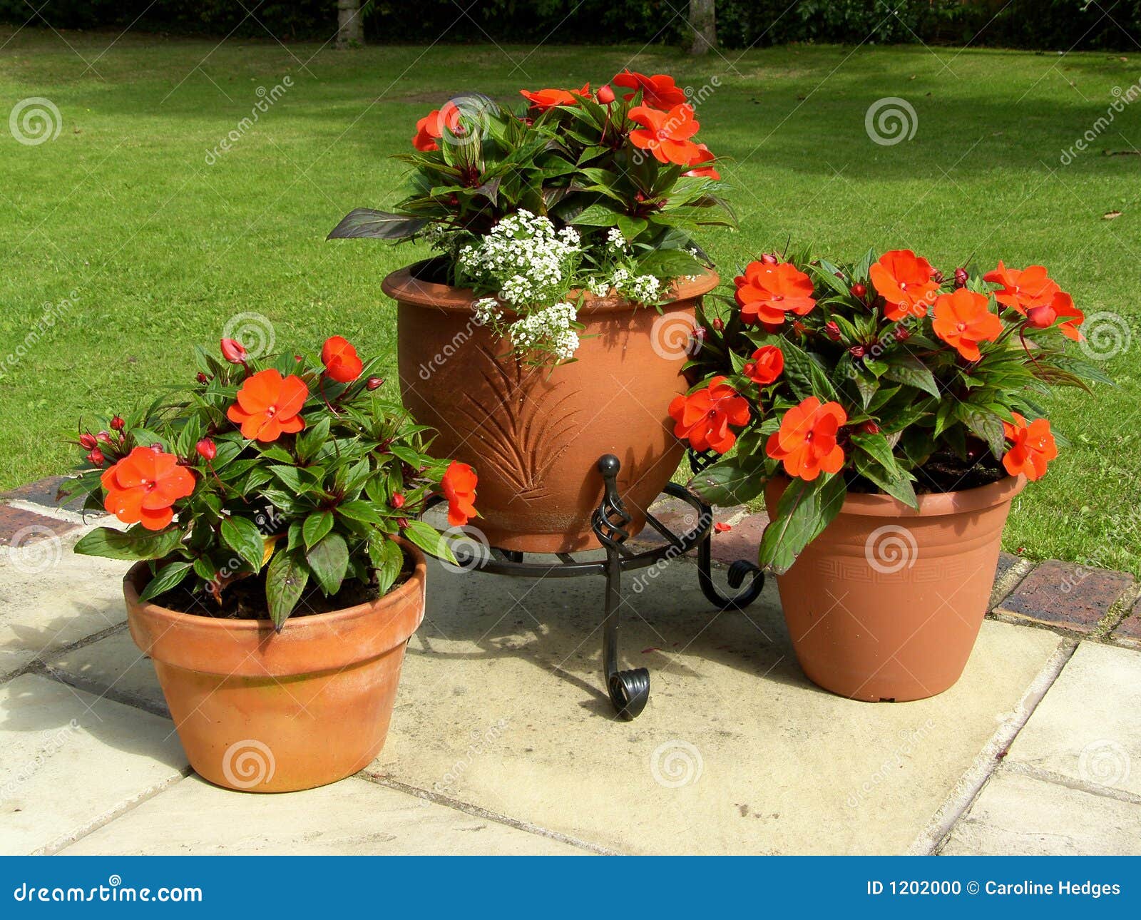 Patio Pots stock photo. Image of patio, three, bloom, displsay - 1202000