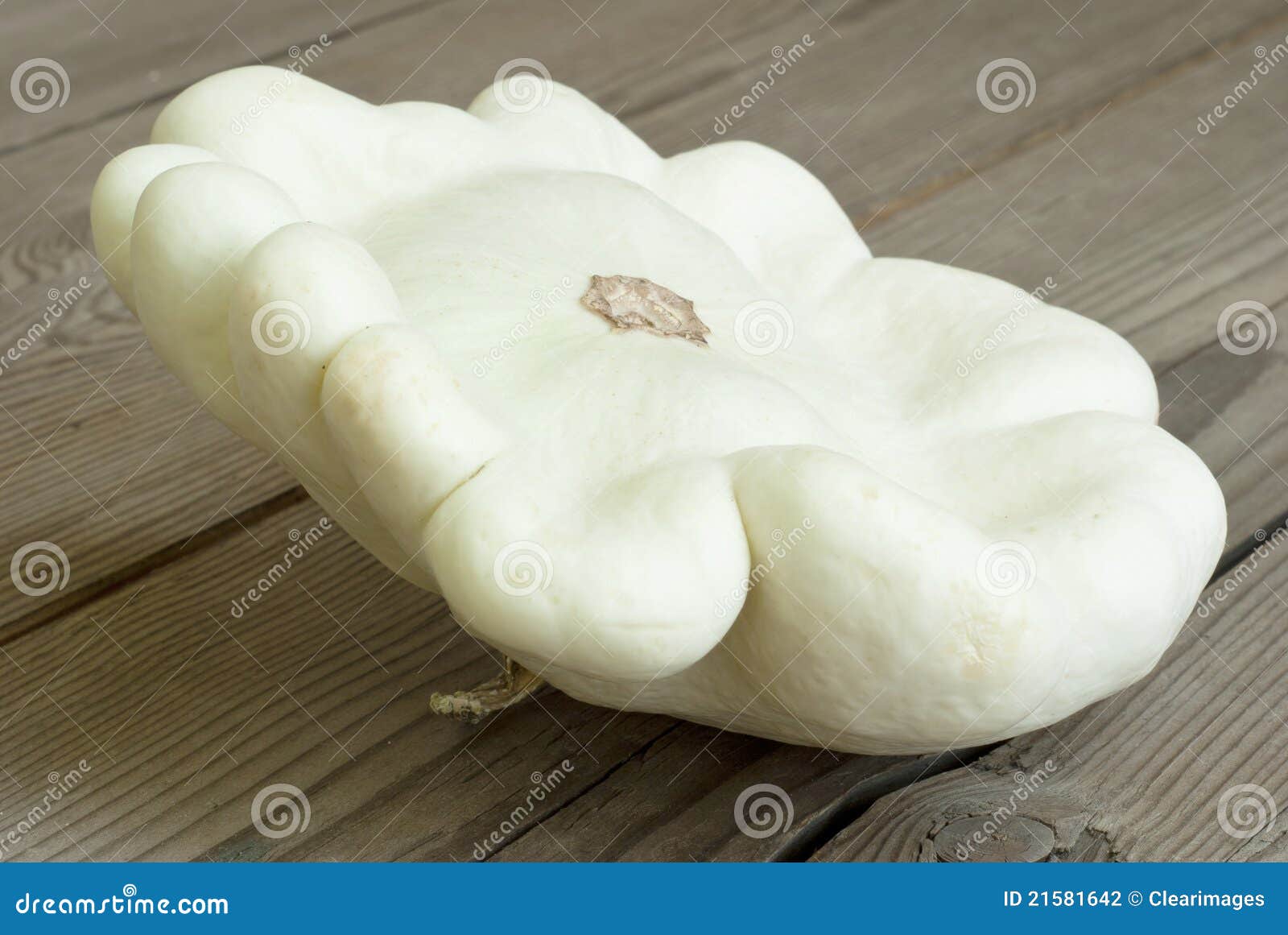 Patison stock photo. Image of wood, rustic, white, summer - 21581642