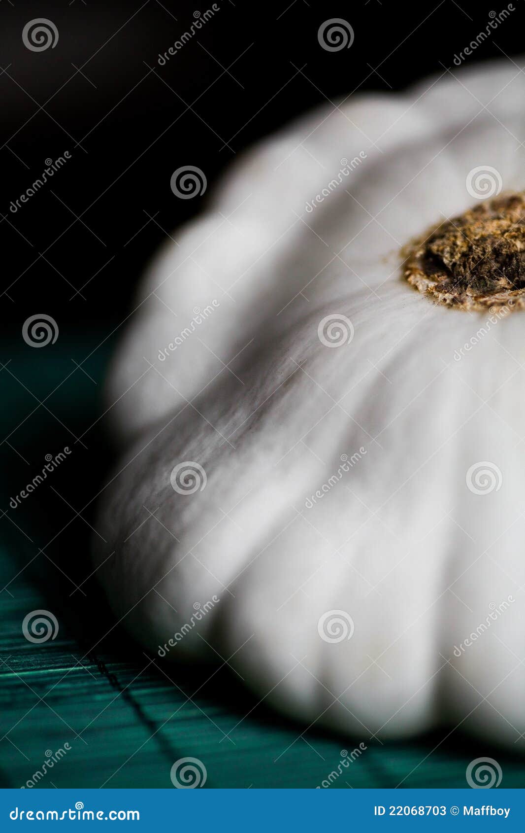 Patison stock image. Image of gourd, plant, eating, life - 22068703