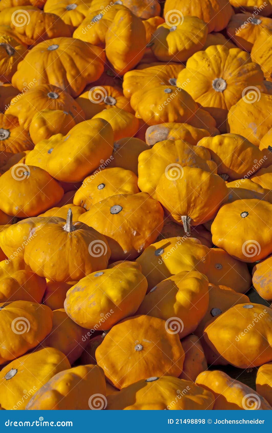 Patisson squash stock photo. Image of pattypan, deli - 21498898
