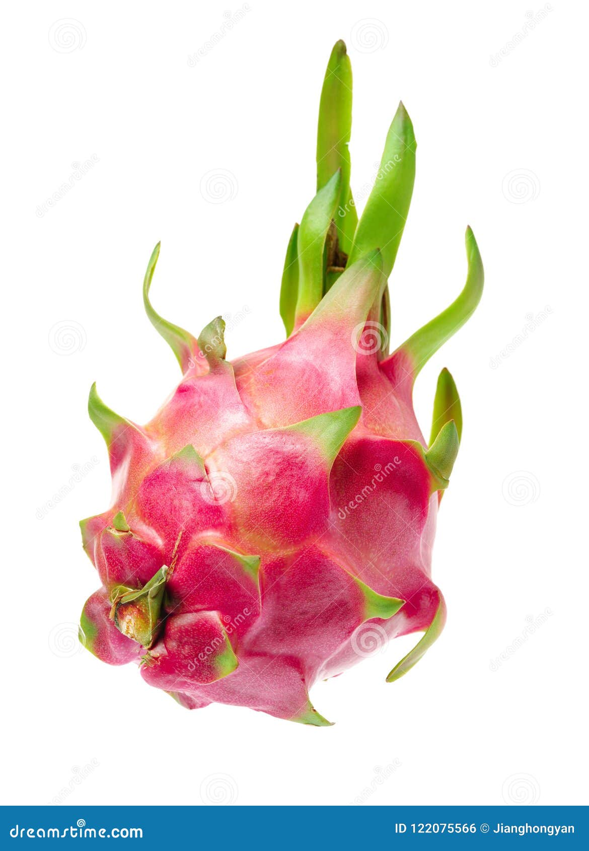 Patiya - Dragon Fruit stock photo. Image of asian, fruit - 122075566