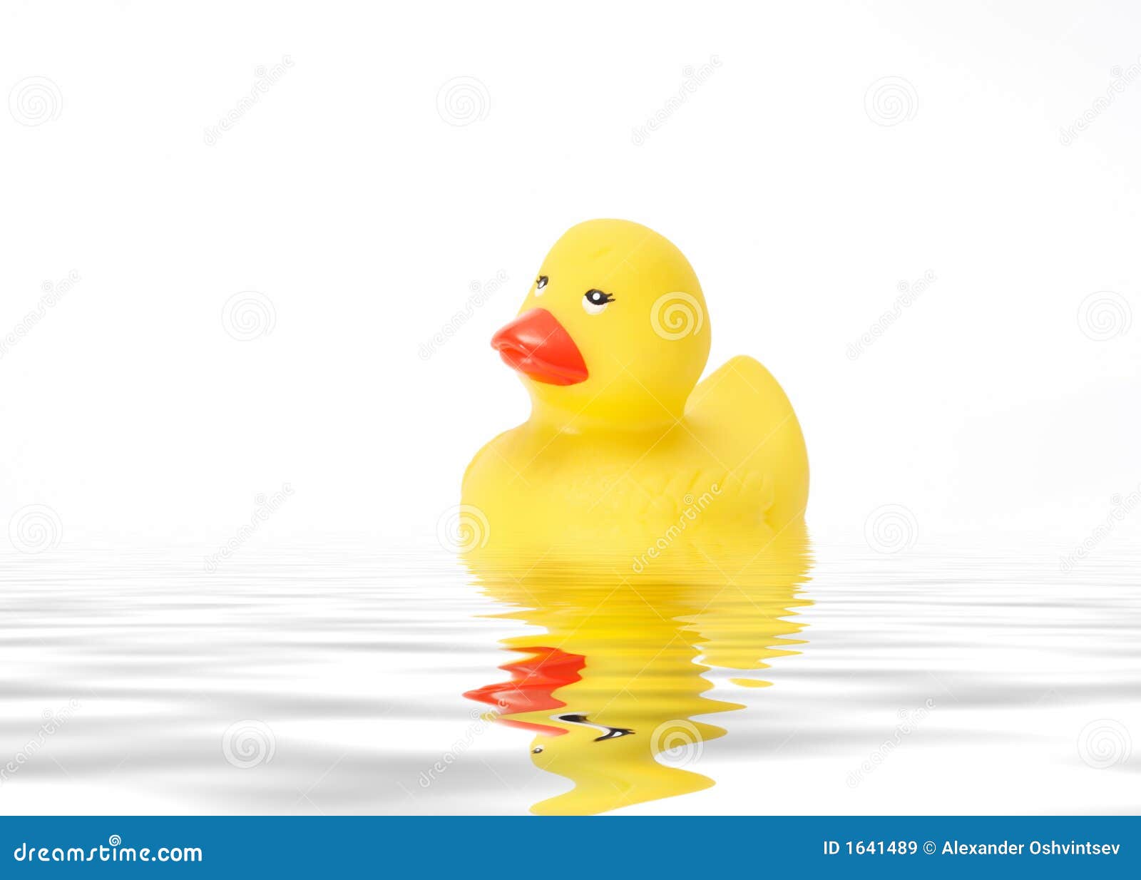 Pato amarillo imagen de archivo. Imagen de animales, agua - 1641489