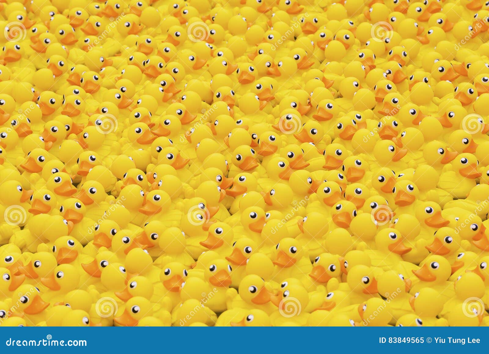 Pato amarillo del juguete imagen de archivo. Imagen de amor - 83849565