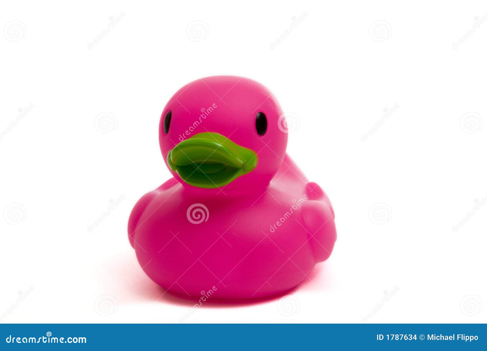 Pato De Borracha Roxo, Cor-de-rosa No Branco Foto de Stock - Imagem de ...