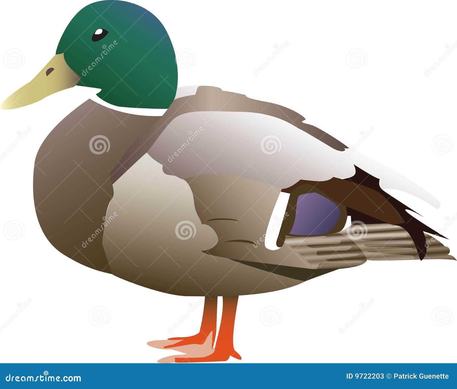 Pato de Cuty ilustración del vector. Ilustración de pista - 9722203