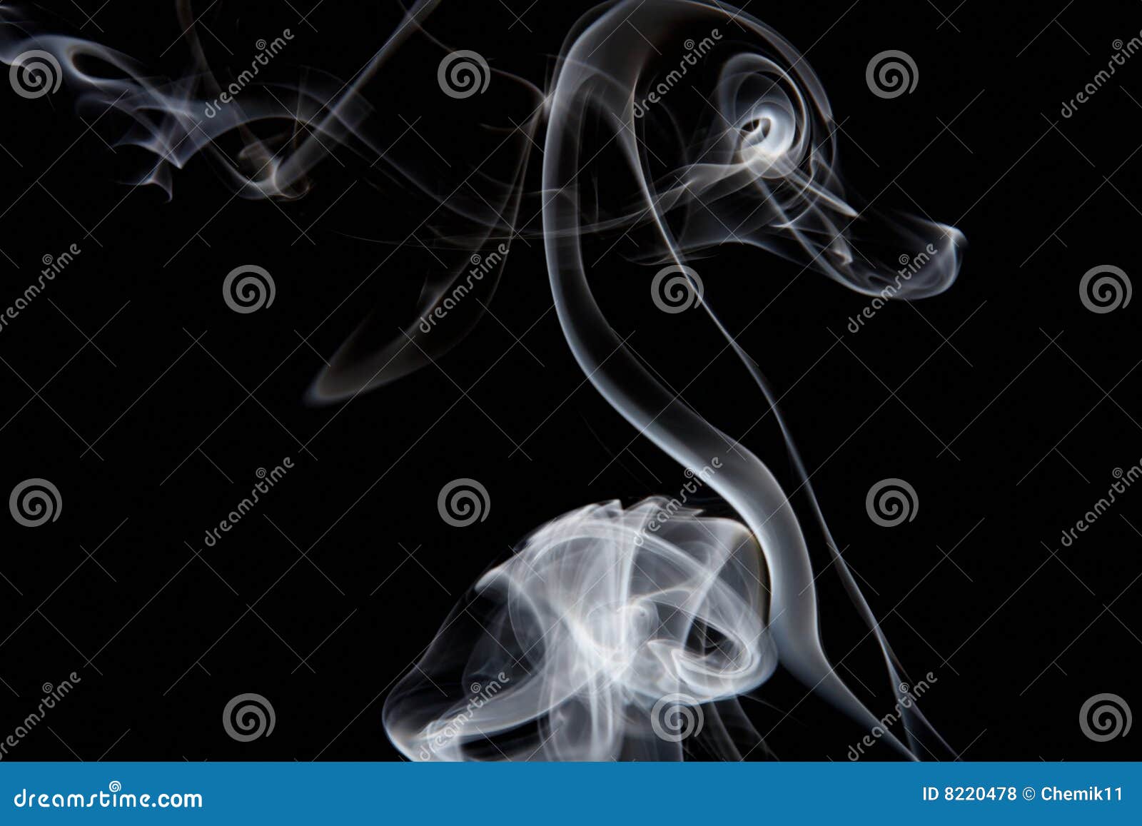 Pato fumado foto de archivo. Imagen de pato, forma, curva - 8220478