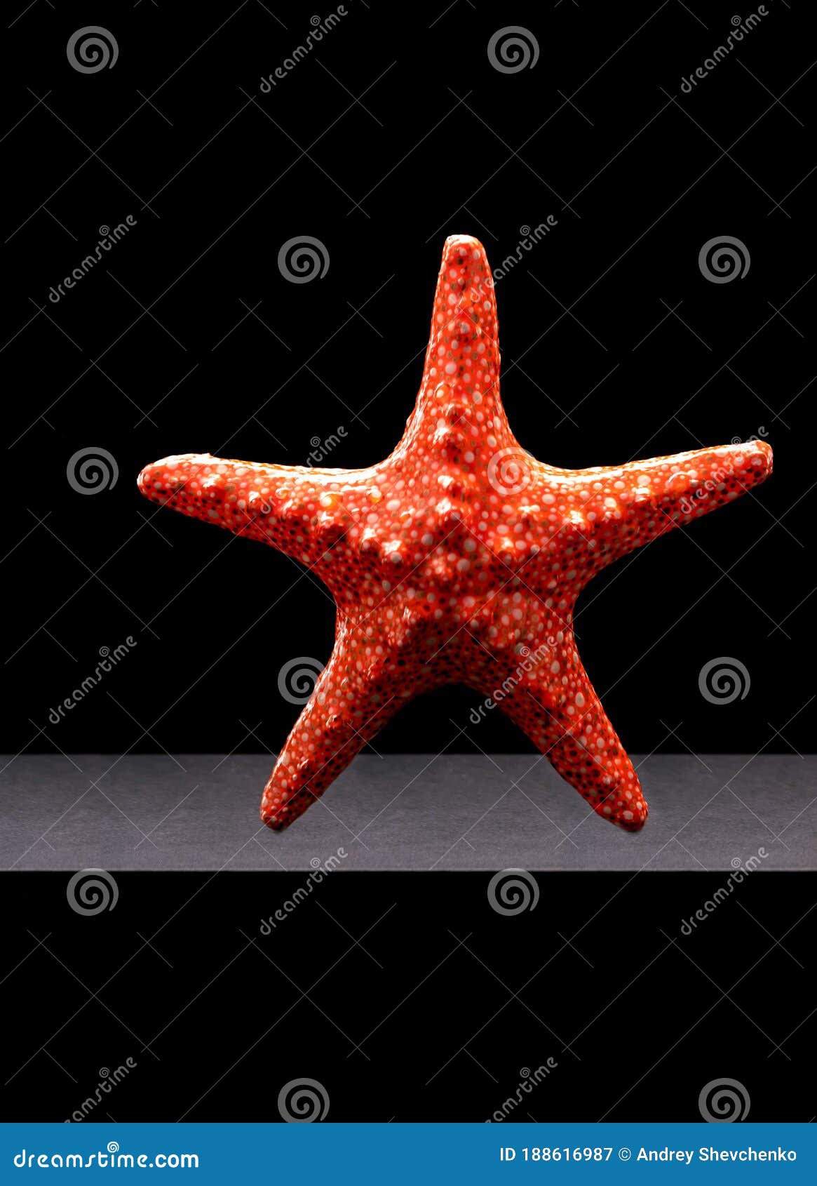 Patrick from SpongeBob Printed on a 3D Printer and Hand-painted on a ...