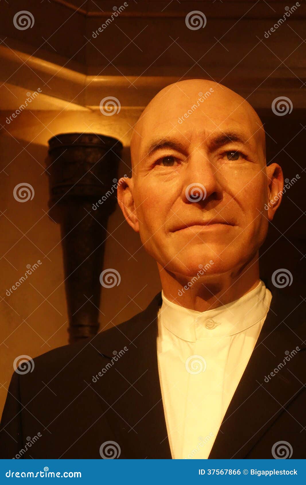 Patrick Stewart At Madame Tussauds Editorial Image | CartoonDealer.com ...