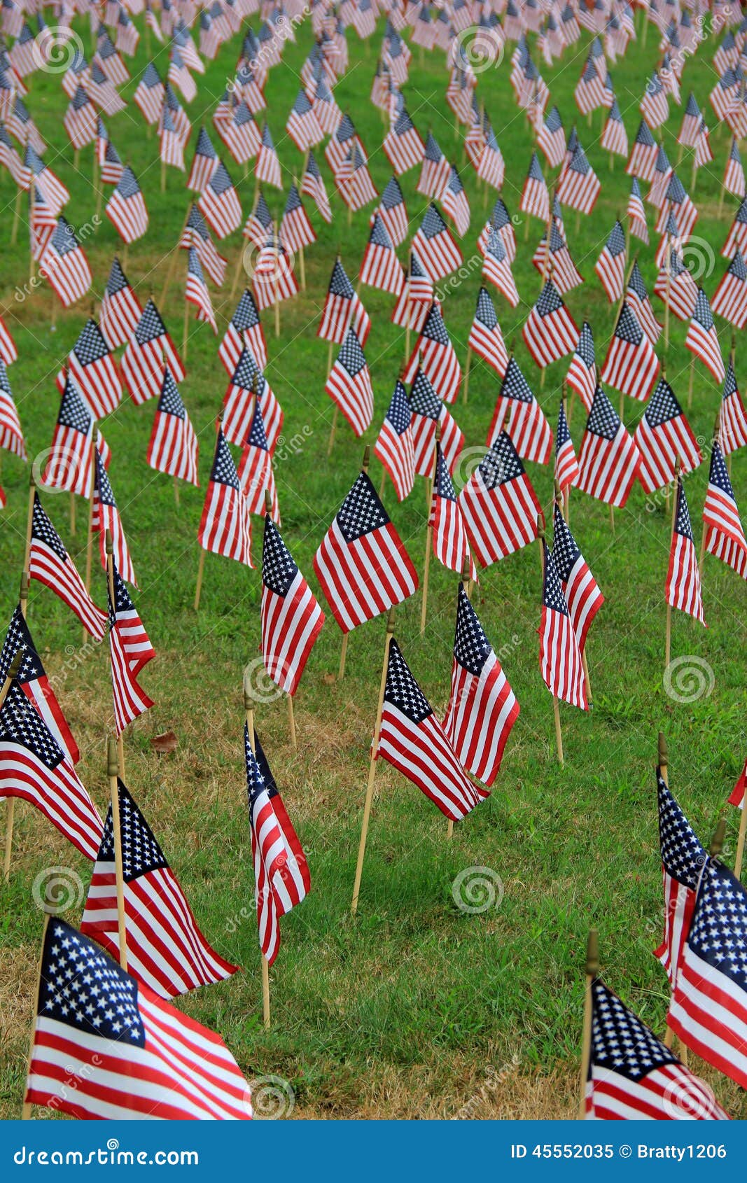 Patriotic Flags on Grassy Lawn Stock Image - Image of admire, vertical ...
