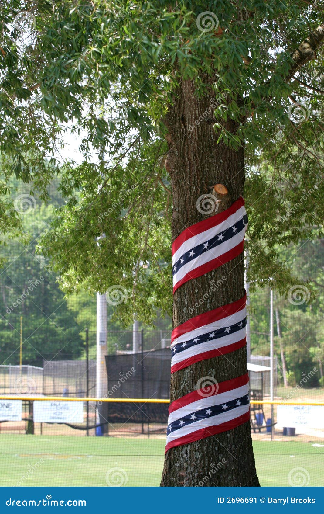 Patriotic Tree stock image. Image of stars, patriotic - 2696691