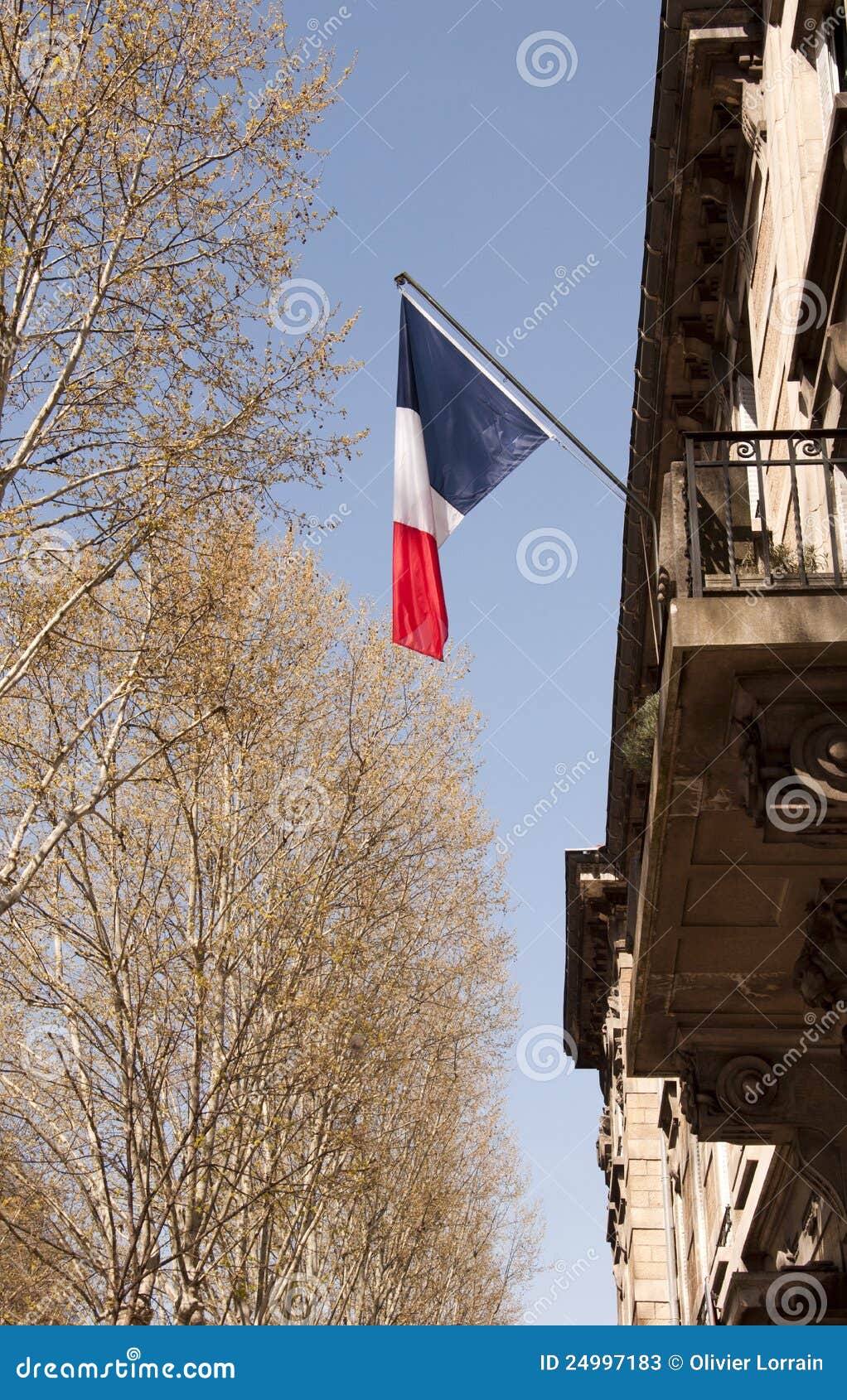 Patriotisme français image stock. Image du lyon, france - 24997183