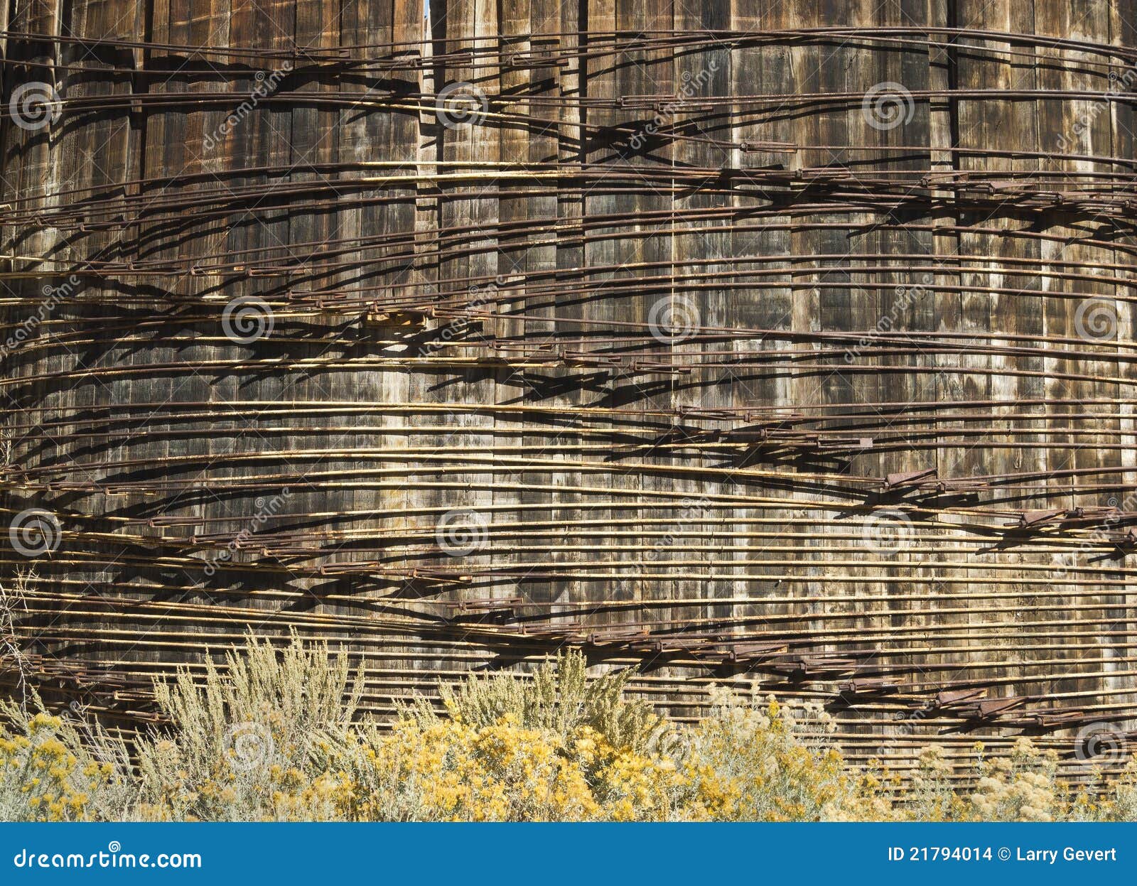 Patronen in Een Structuur Van De Watertank Stock Foto - Image of milieu ...