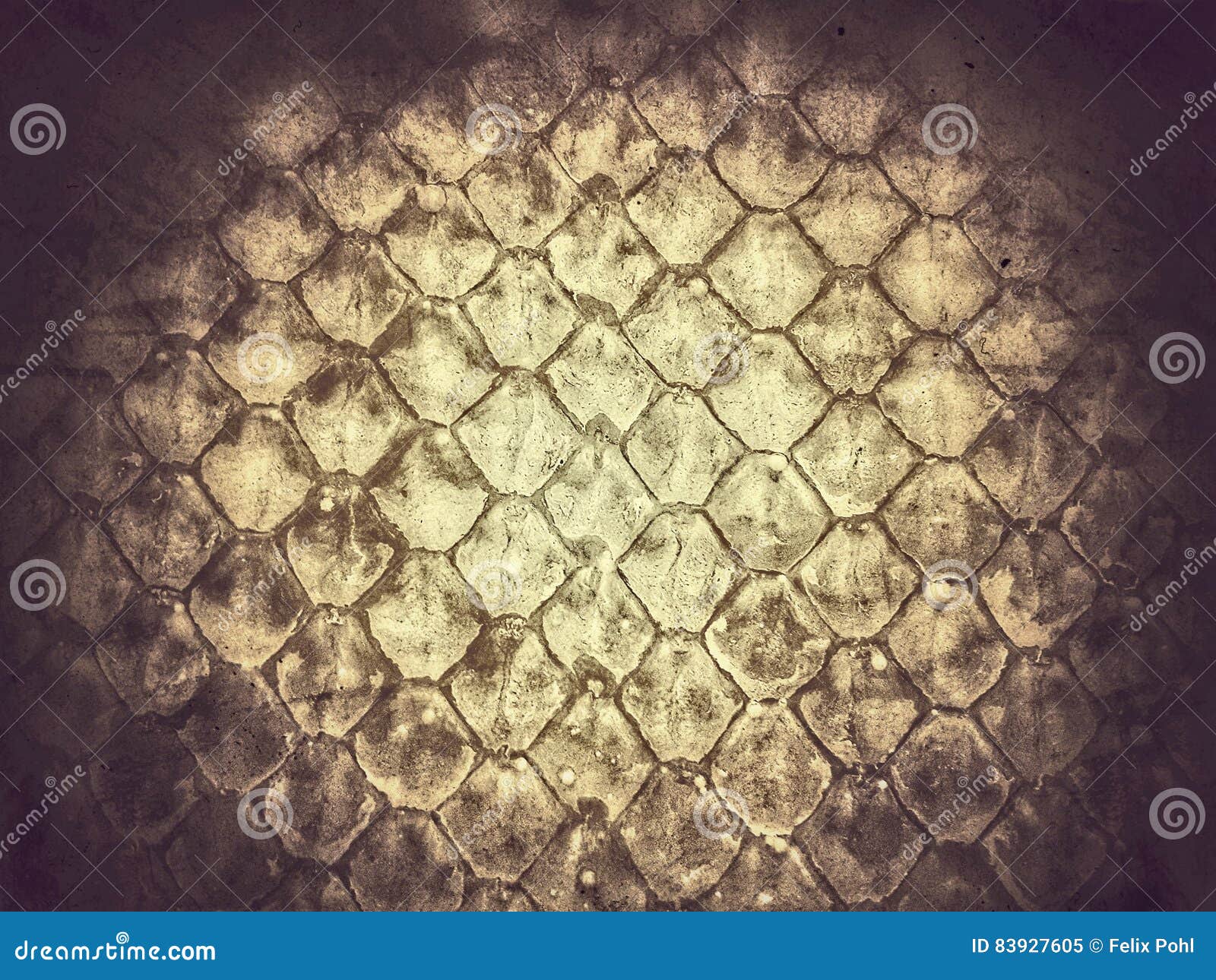 Patter Stock Images - Download 3,687 Royalty Free Photos