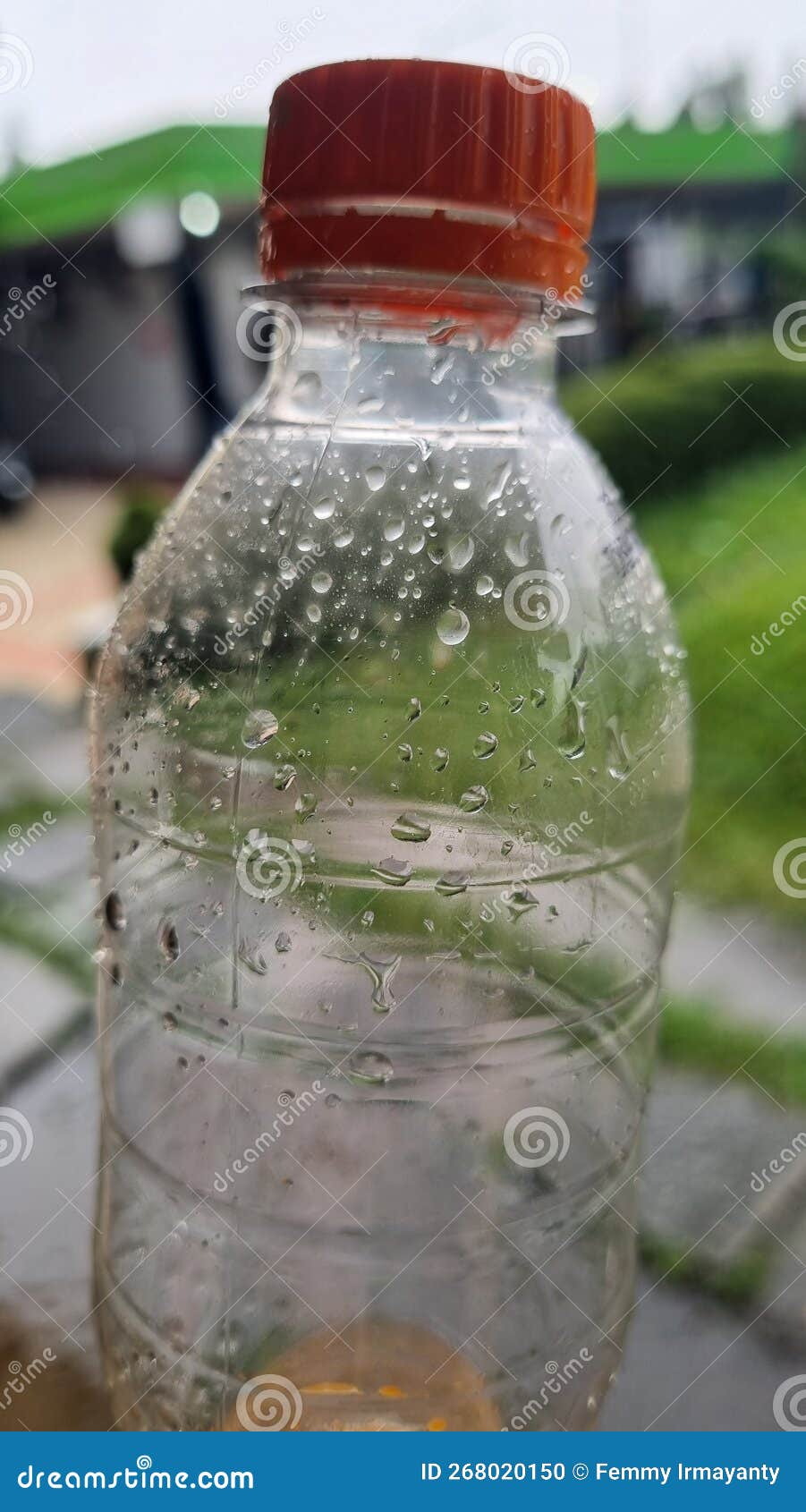 Patter of Rain in a Plastic Bottle Stock Photo - Image of nature, rain ...