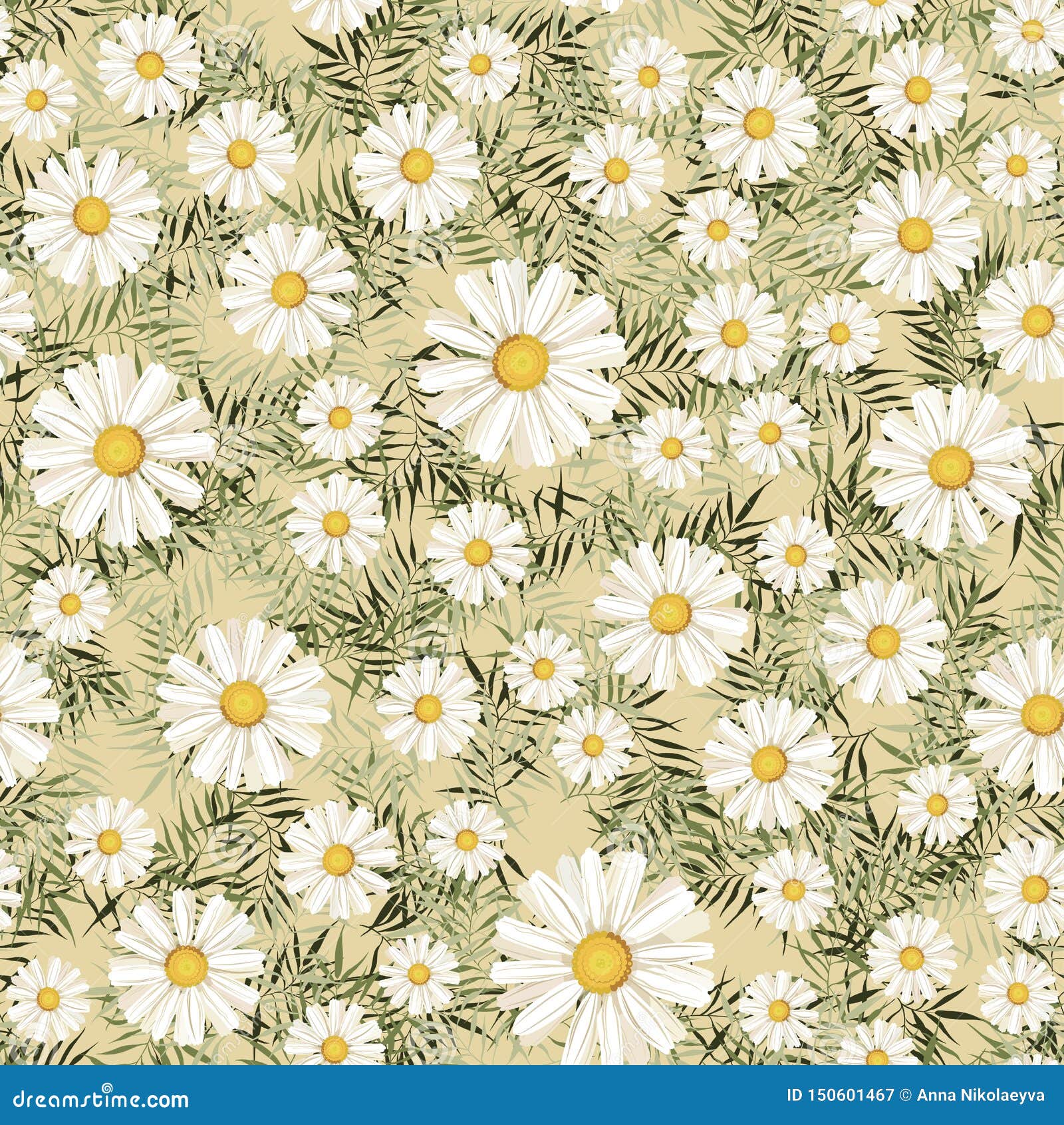 Pattern. Seamless. White Daisies. Daisy, Flower Stock Vector ...