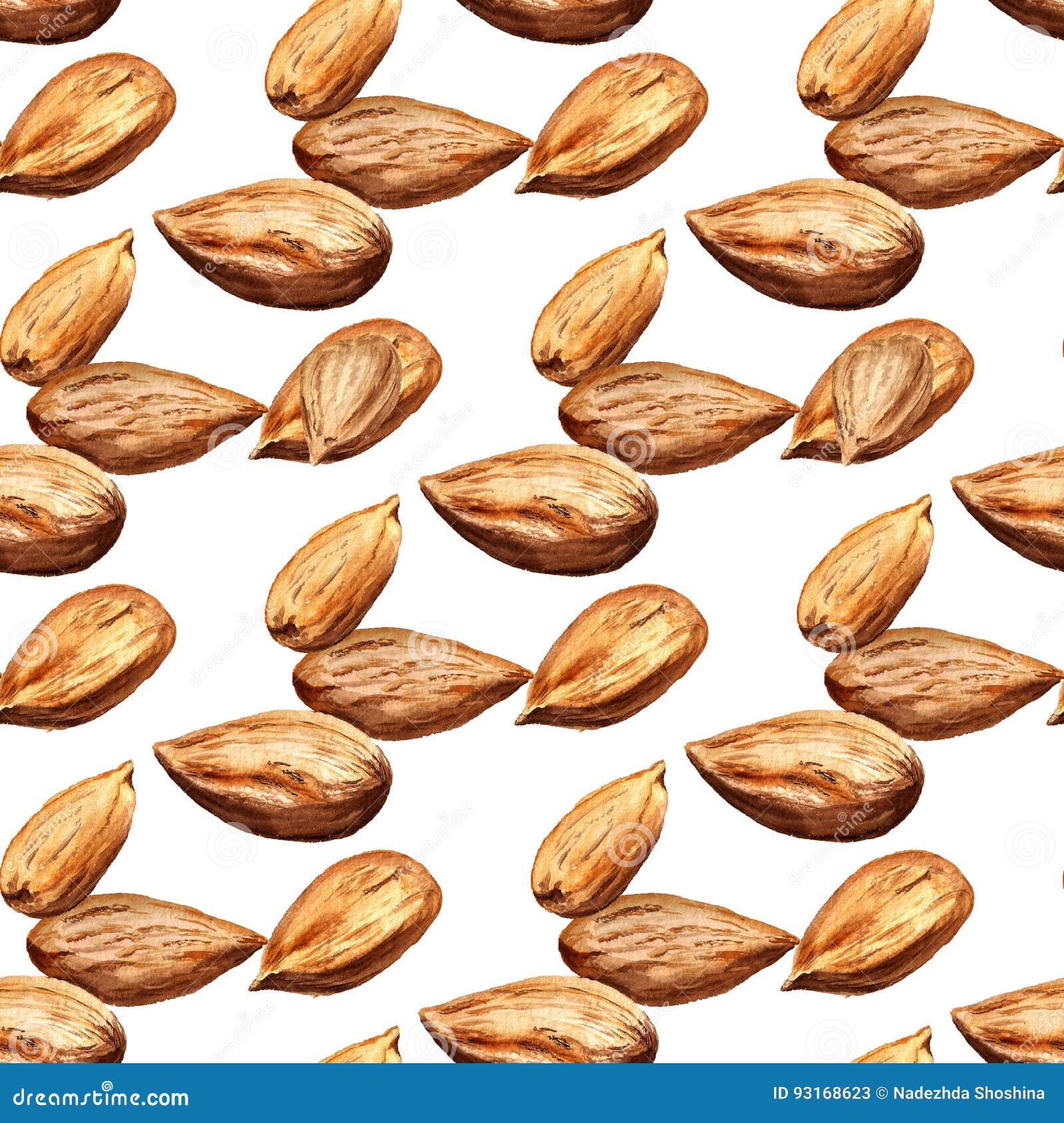 Pattern with almonds stock illustration. Illustration of group - 93168623