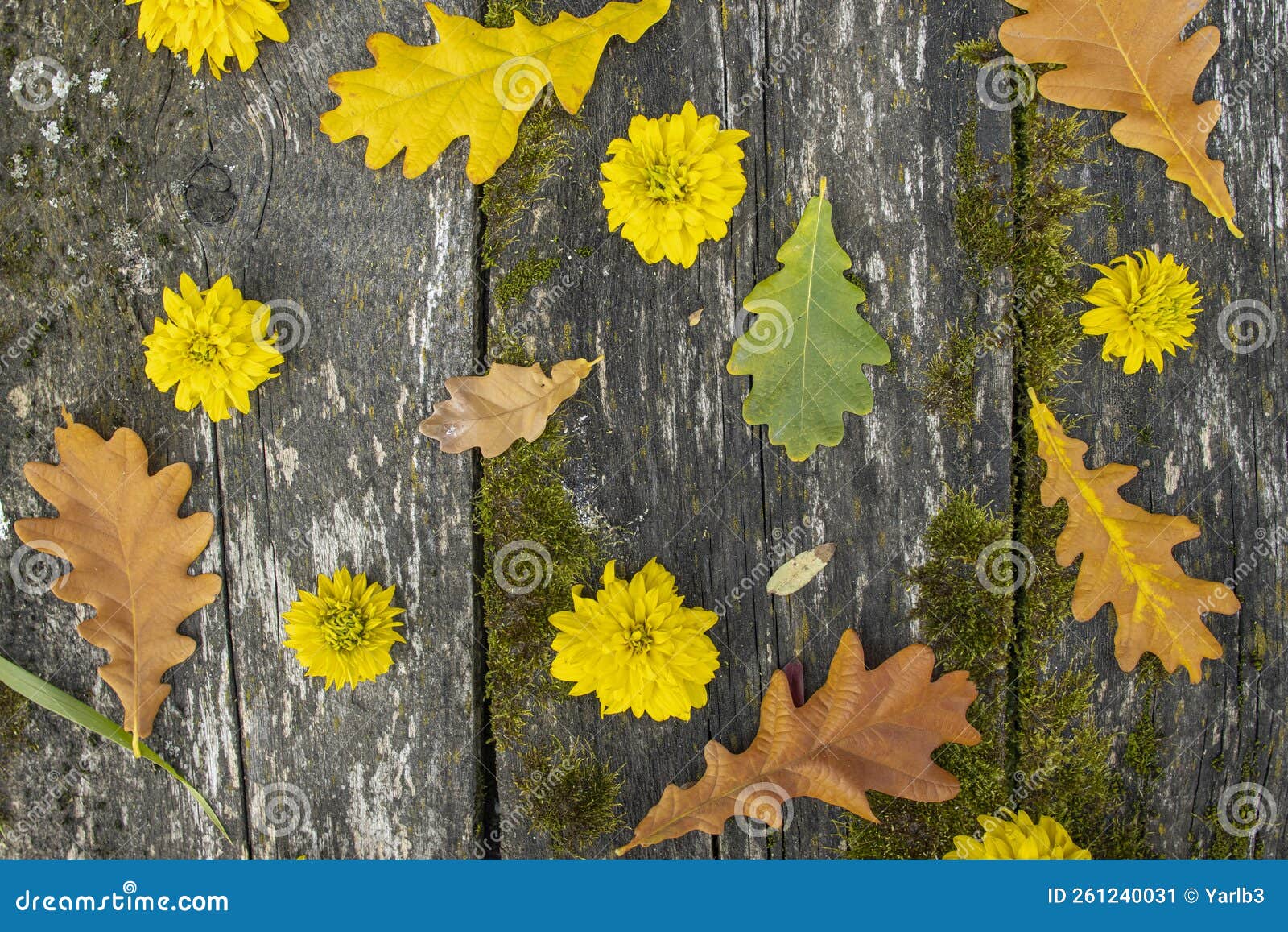 Pattern of Autumn Leaves and Yellow Flowers on an Old Table, Texture of ...
