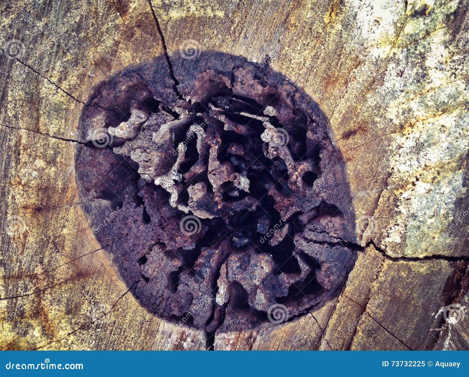 Pattern background stock image. Image of frame, decorated - 73732225