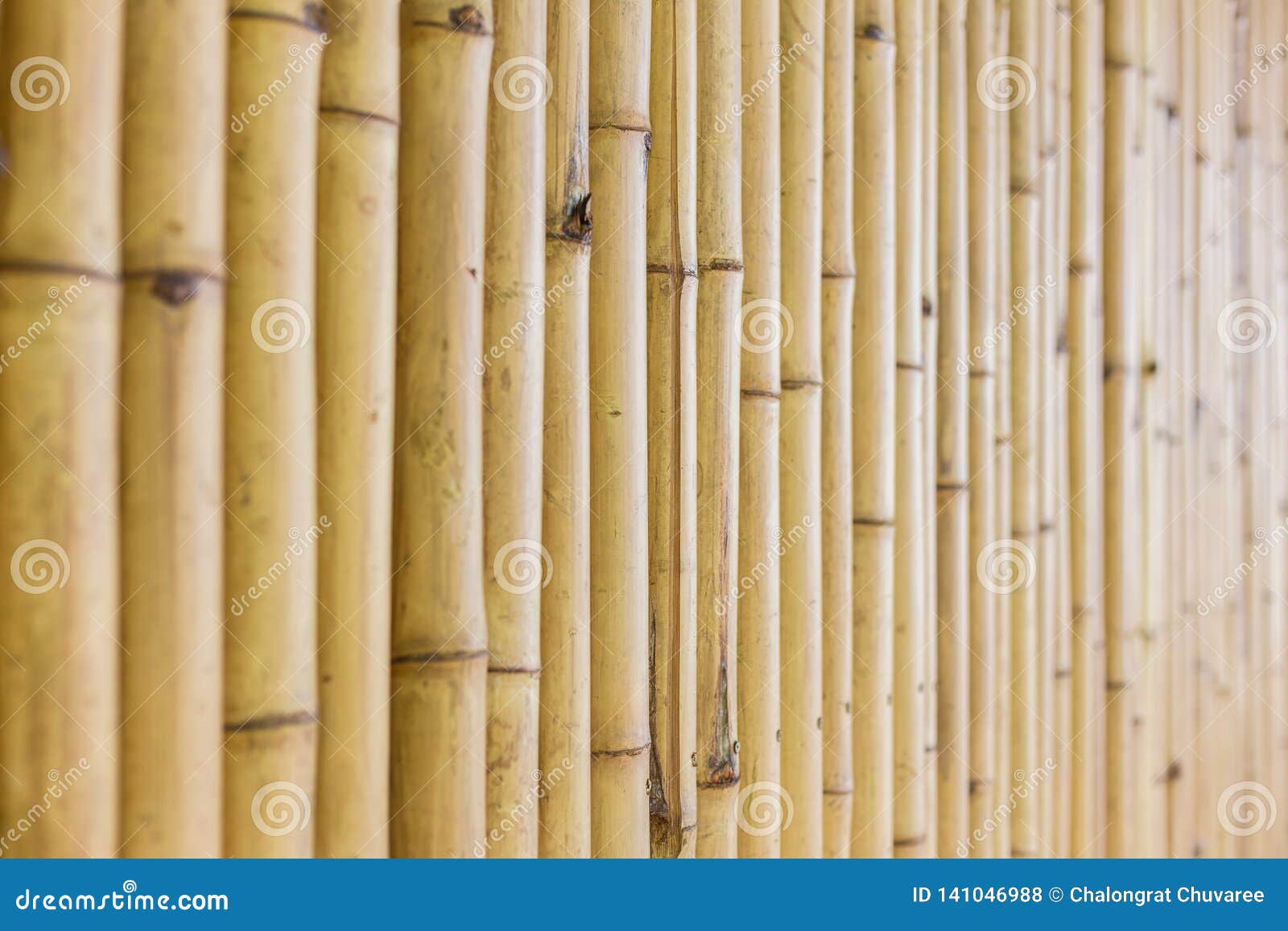 Bamboo Wall Texture Background Stock Photo - Image of decor, japanese ...