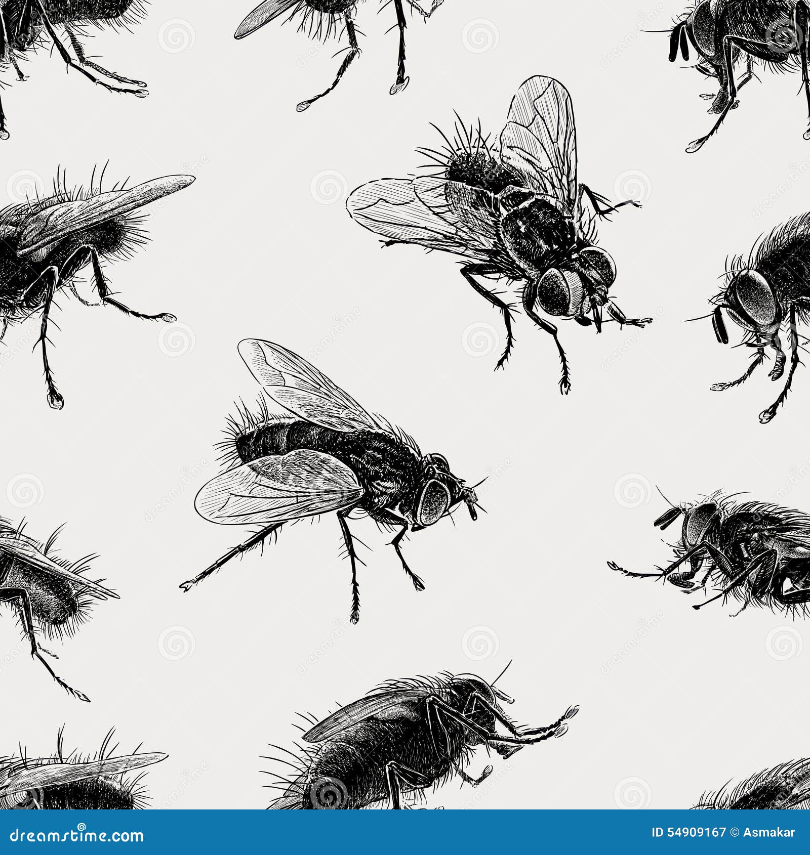 Flies Cartoons, Illustrations & Vector Stock Images - 47270 Pictures to ...
