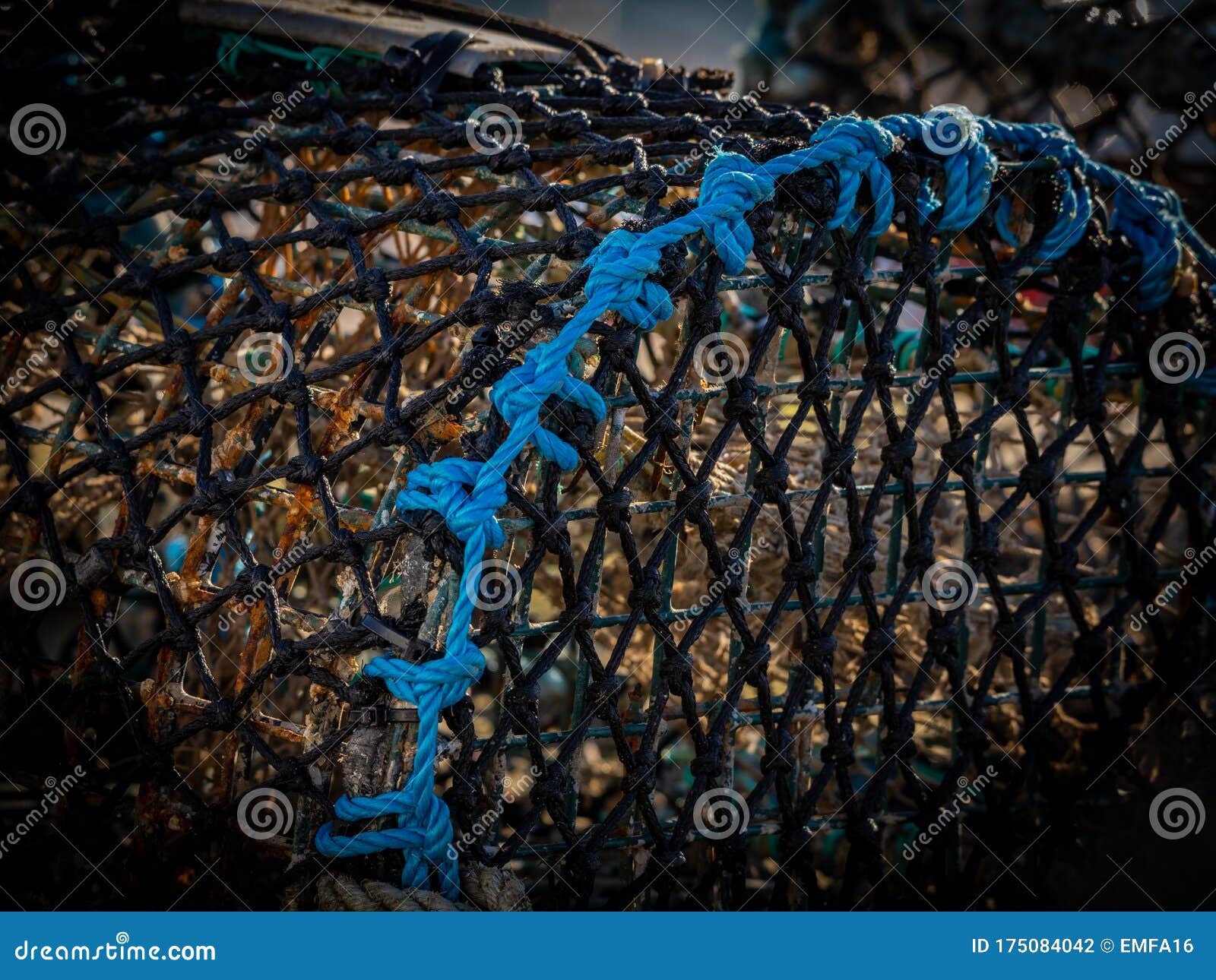 Pattern of Blue Rope on Black Mesh of a Lobster Pot Stock Photo - Image ...