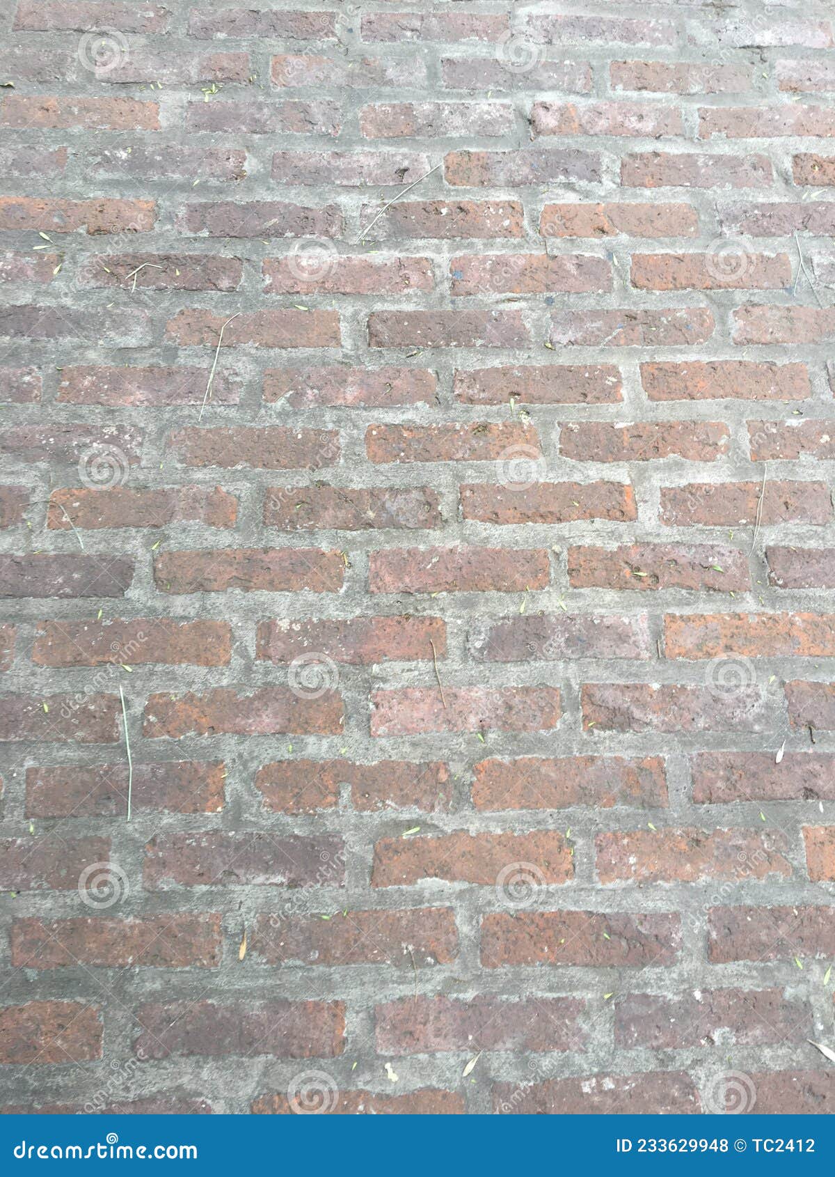 Pattern of a brick wall stock photo. Image of brickwork - 233629948