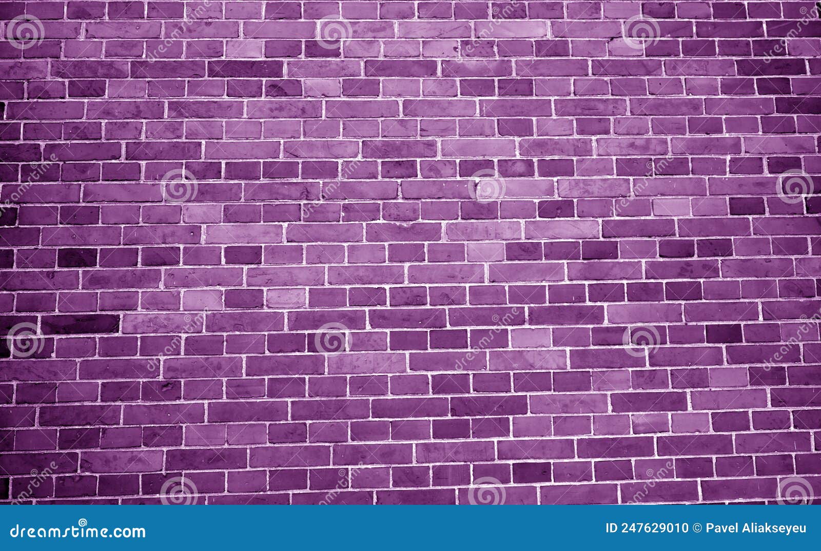 Pattern of Brick Wall in Purple Tone Stock Photo - Image of color ...