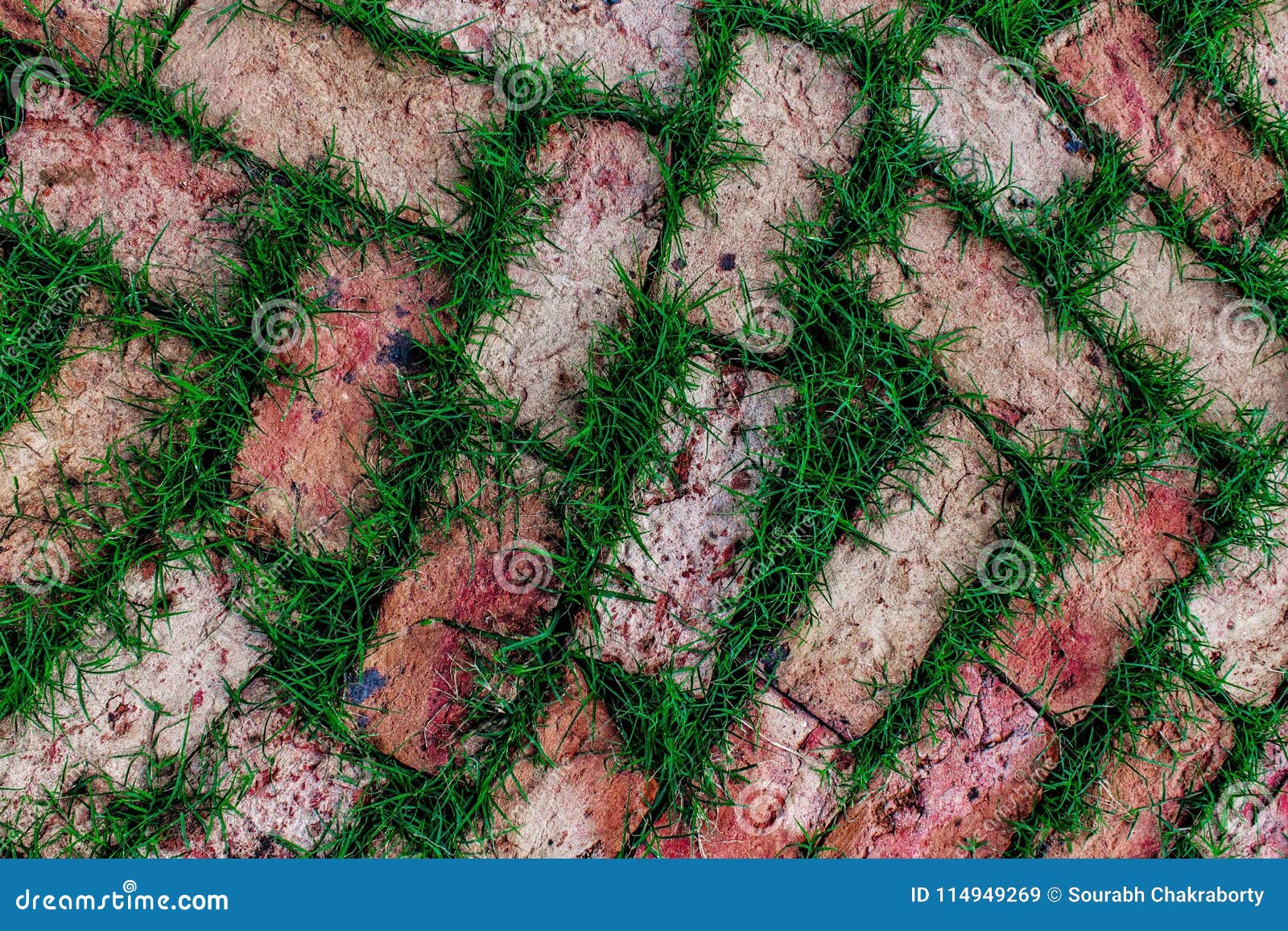 Pattern in bricks stock image. Image of nature, beautiful - 114949269