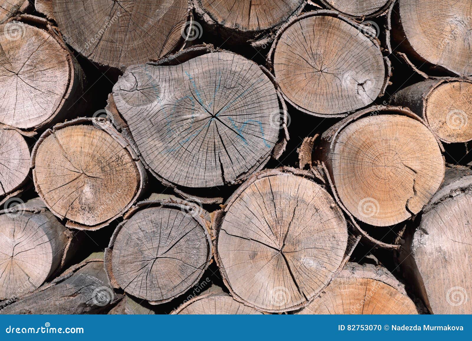 Pattern of Brown Wood Log Background Texture Stock Photo - Image of ...