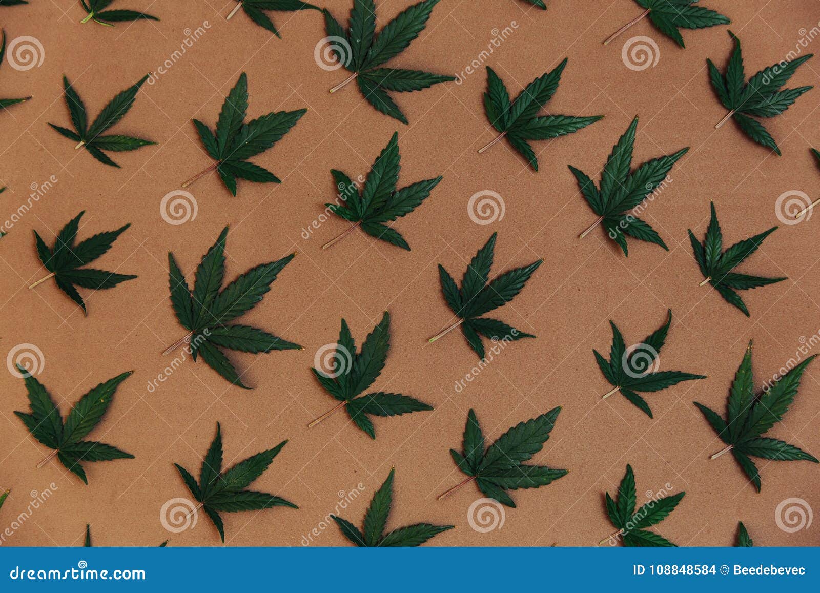The Pattern of a Cannabis Leaves. Ganja Marijuana Weed Stock Photo ...