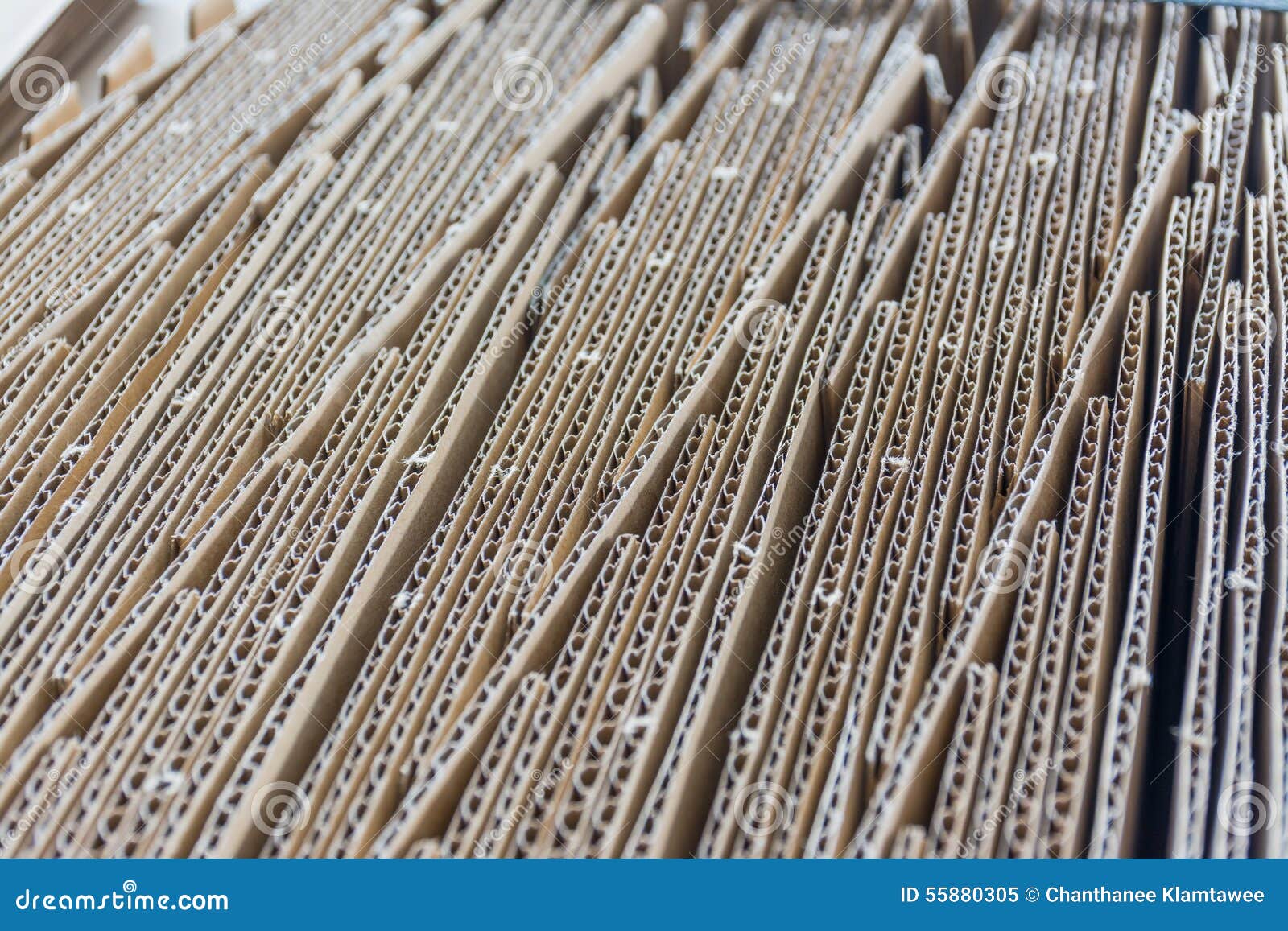 Pattern of carton stock image. Image of white, paper - 55880305