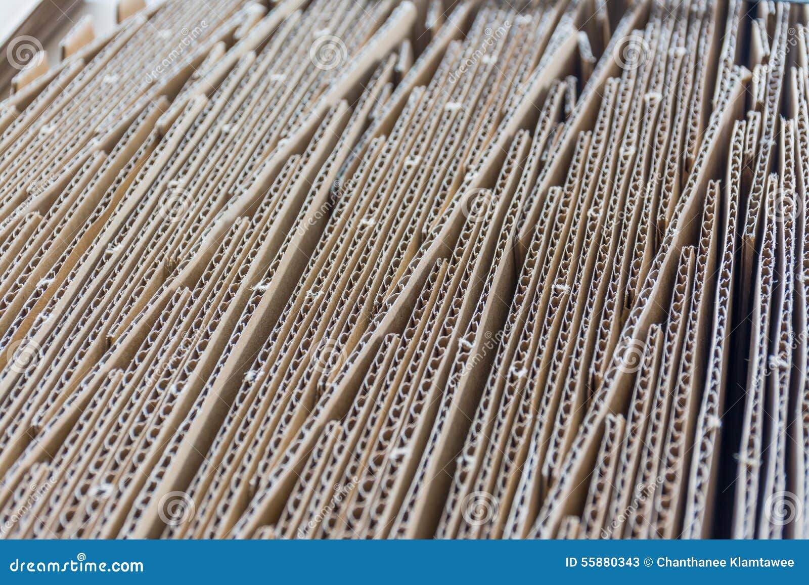 Pattern of carton stock image. Image of blank, cardboard - 55880343