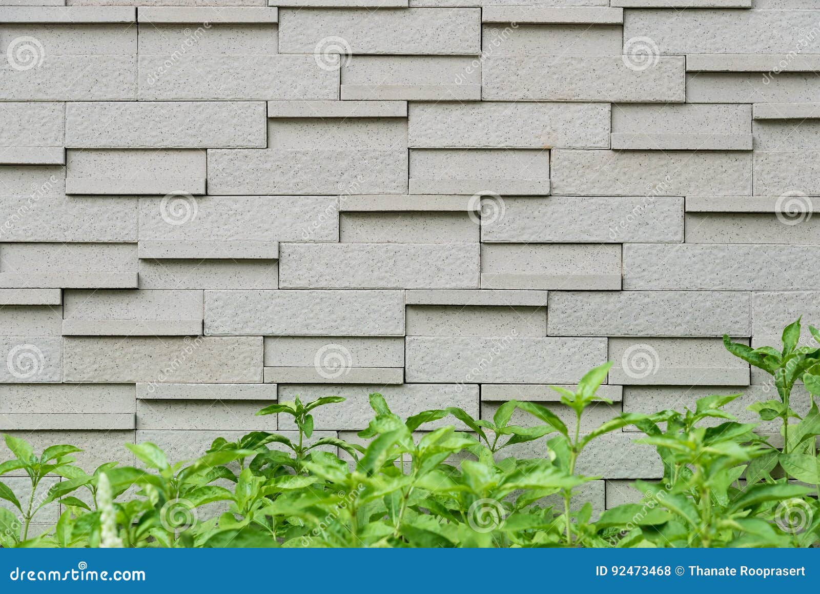 Pattern of Ceramic Tiles Wall. Stock Photo - Image of masonry, built ...