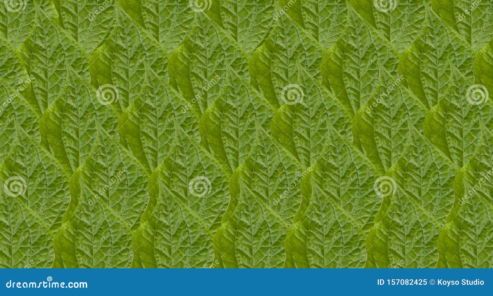 Pattern Chaplo Leaves Green Background Stock Image - Image of leaf ...
