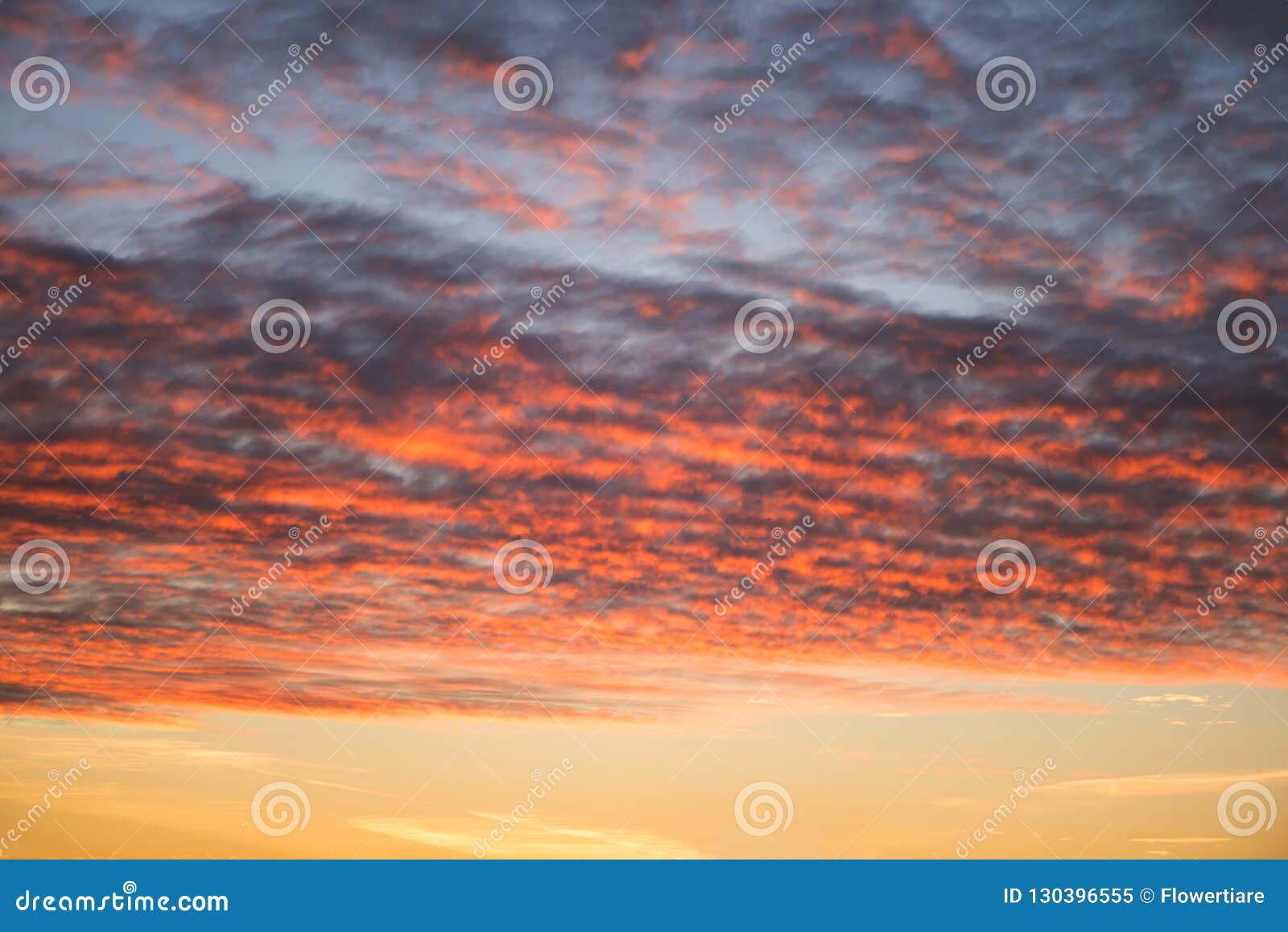 Pattern of Cirrus Clouds on the Colored Sinrise Sky Background Stock ...