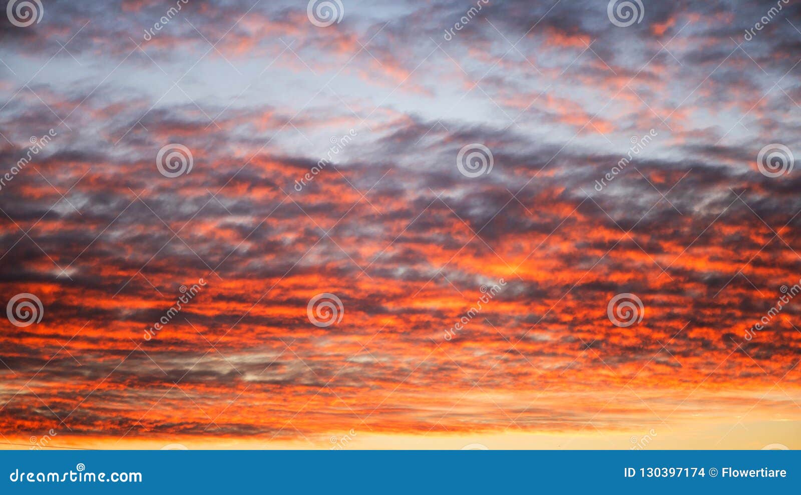 Pattern of Cirrus Clouds on the Colored Sinrise Sky Background Stock ...