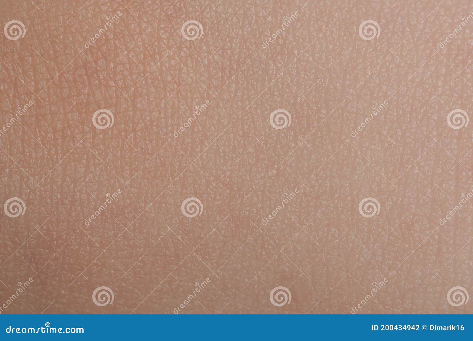 Pattern of Clean Human Skin Stock Photo - Image of human, healthy ...