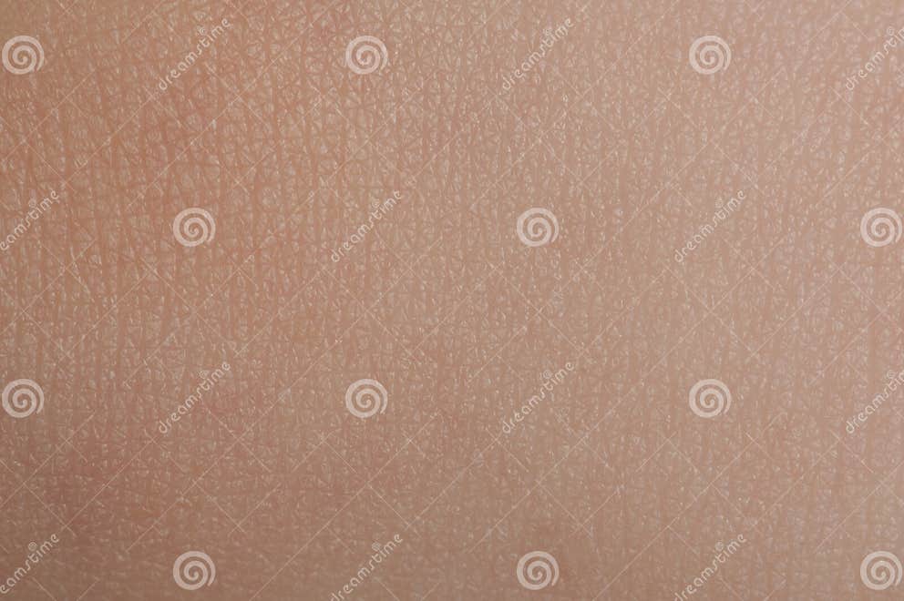 Pattern of Clean Human Skin Stock Photo - Image of human, healthy ...