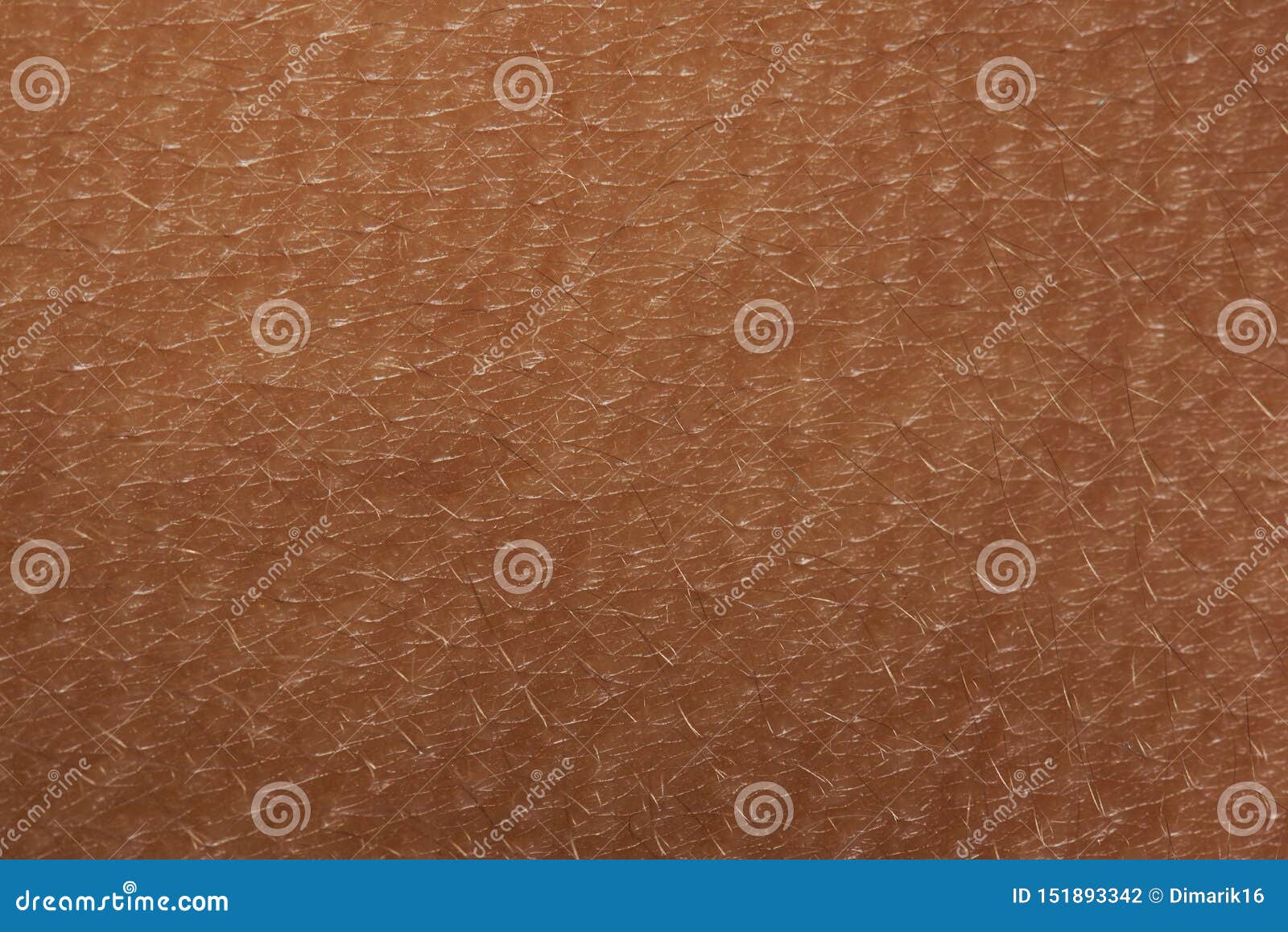 Pattern of Clean Human Skin Stock Photo - Image of dermatitis, health ...