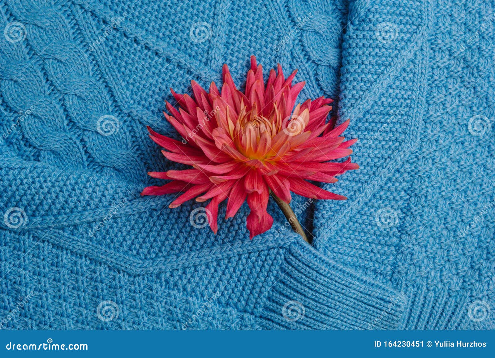 Pattern of Colorful Knitted Sweaters Closeup. Handmade Merino Wool ...